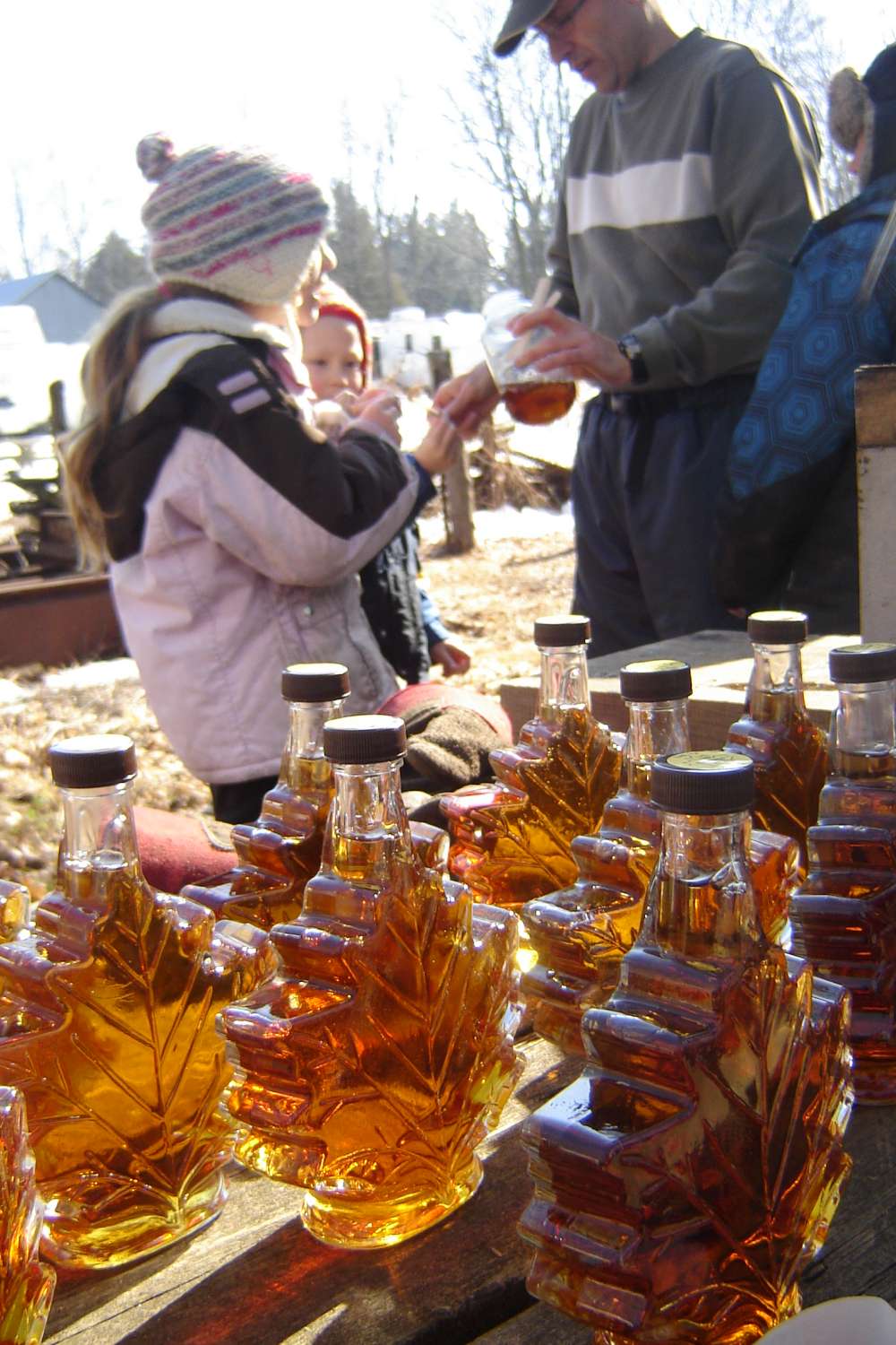 Banner Start to Maple Syrup Season (Outdoor and Environmental Education)