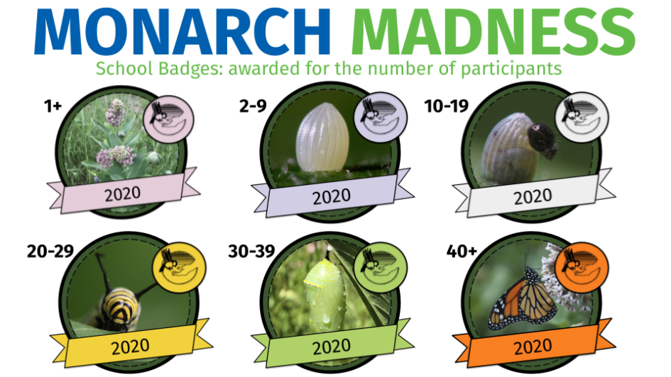 MONARCH MADNESS (Outdoor and Environmental Education)