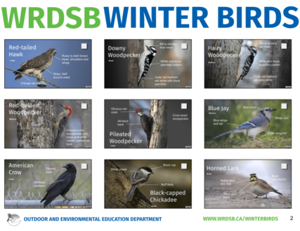 Print Resources (Outdoor and Environmental Education)