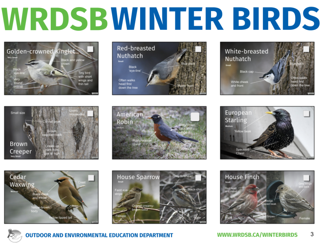 Print Resources (Outdoor and Environmental Education)