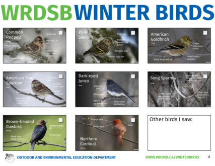 Print Resources (Outdoor and Environmental Education)