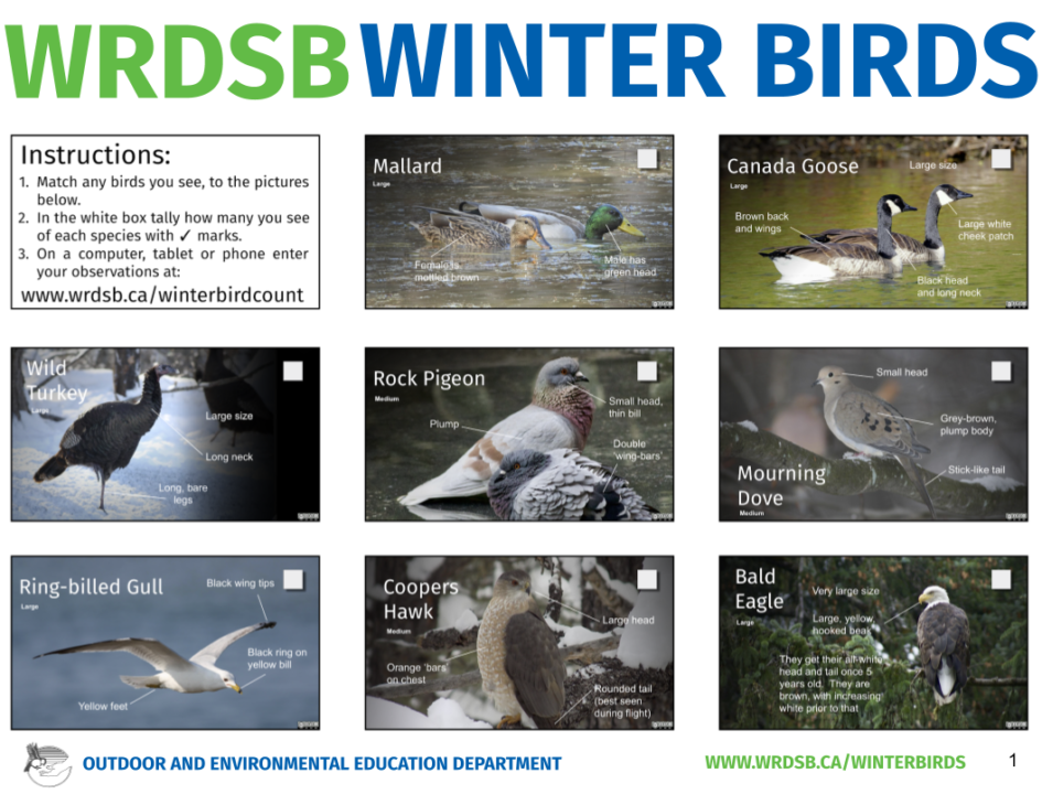 Print Resources (Outdoor and Environmental Education)