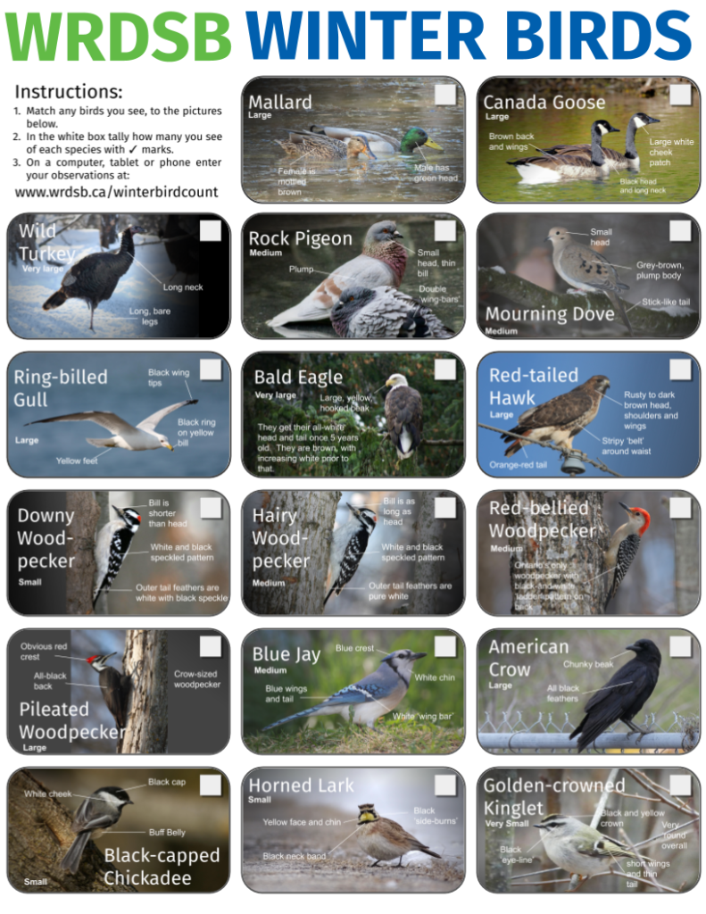 Print Resources (Outdoor and Environmental Education)