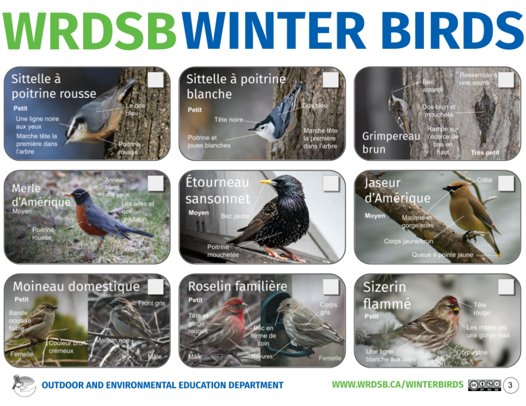 Print Resources (Outdoor and Environmental Education)