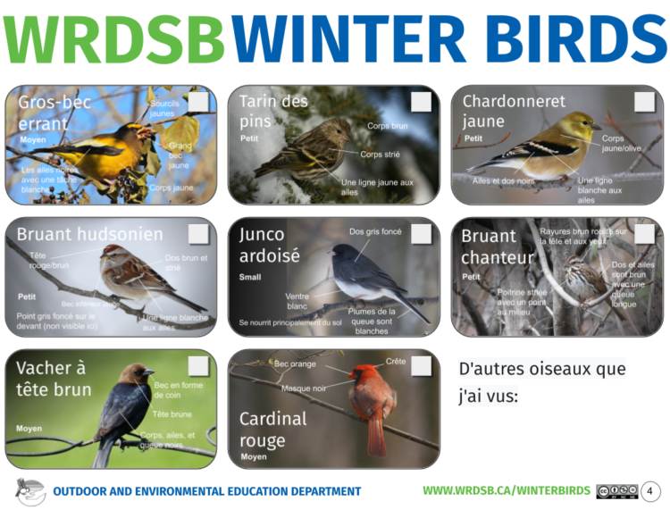 Print Resources (Outdoor and Environmental Education)