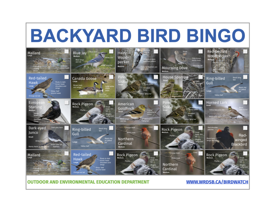 Print Resources (Outdoor and Environmental Education)