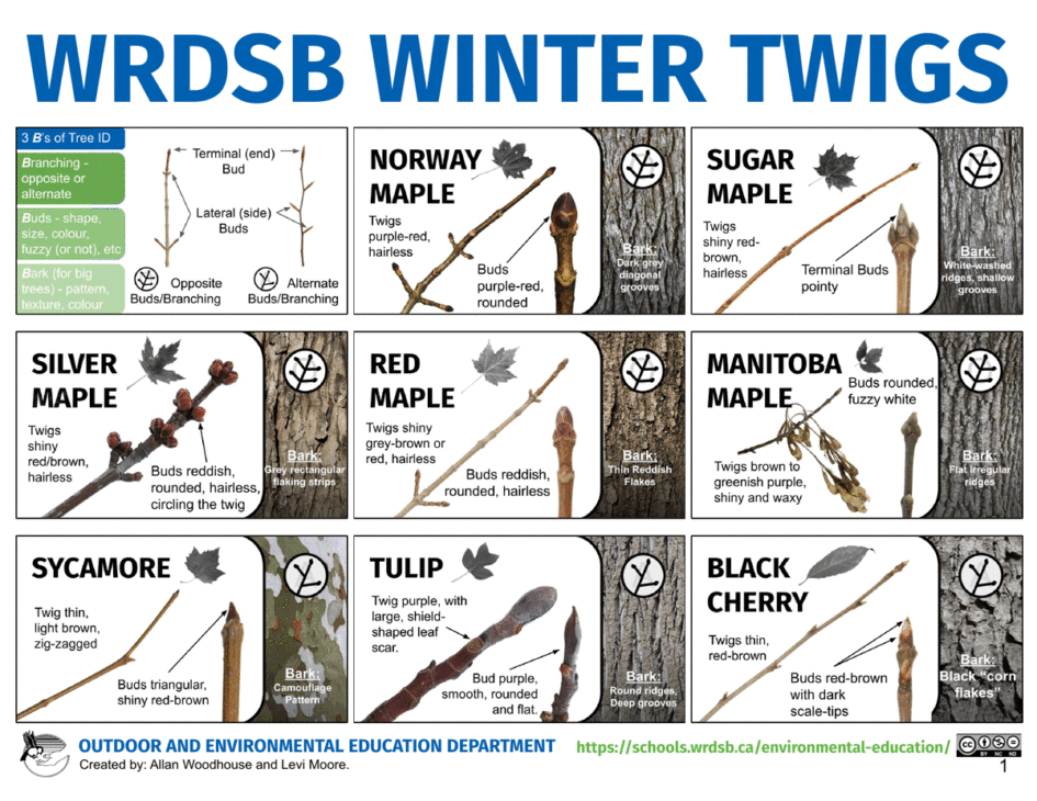 Outdoor and Environmental Education