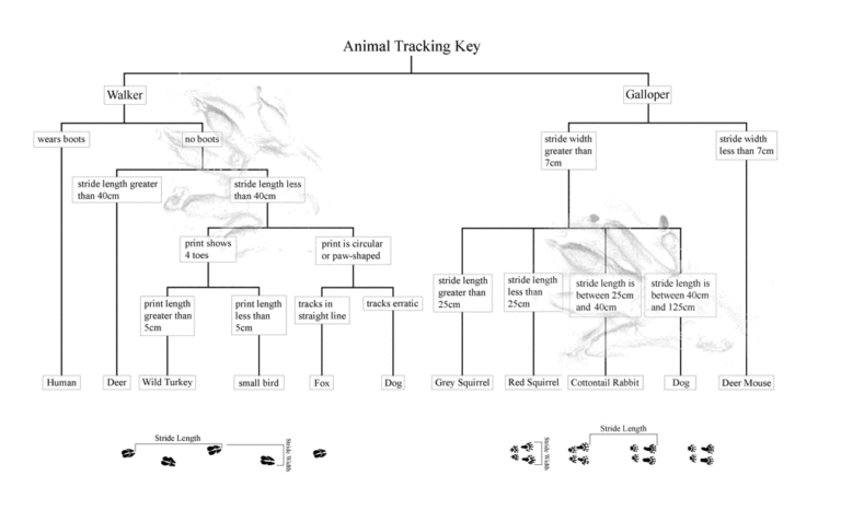 Outdoor and Environmental Education