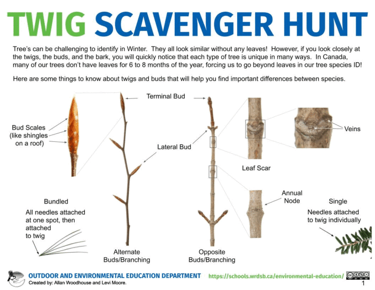 Outdoor and Environmental Education