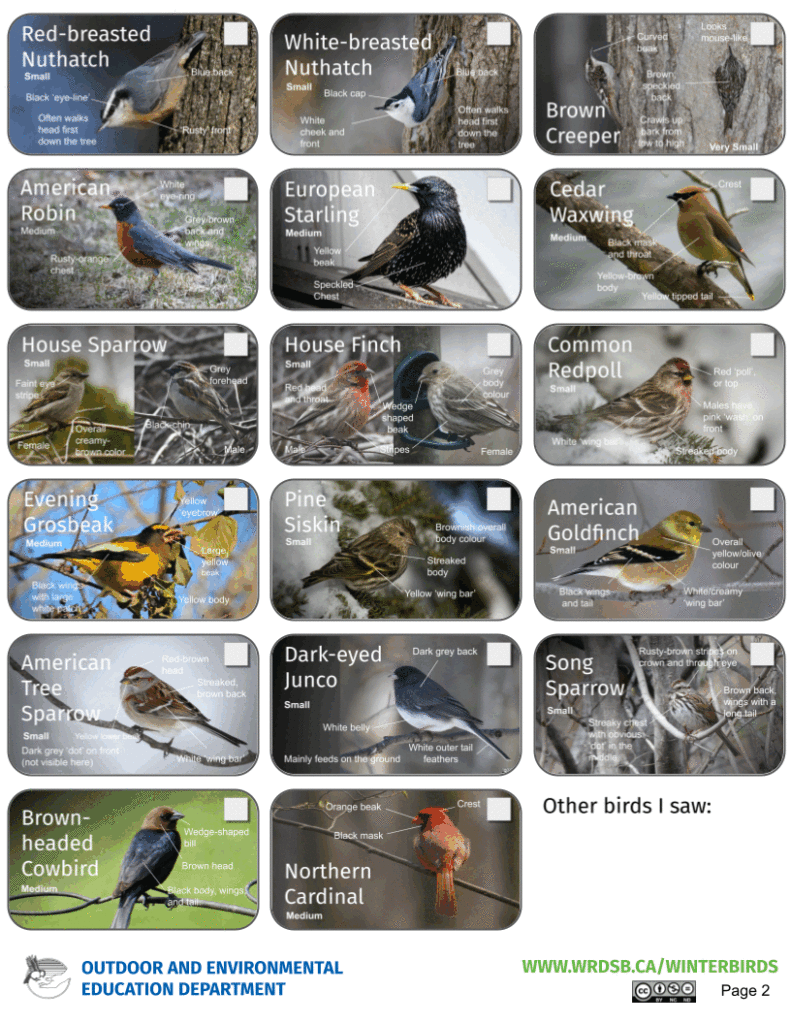 Outdoor and Environmental Education