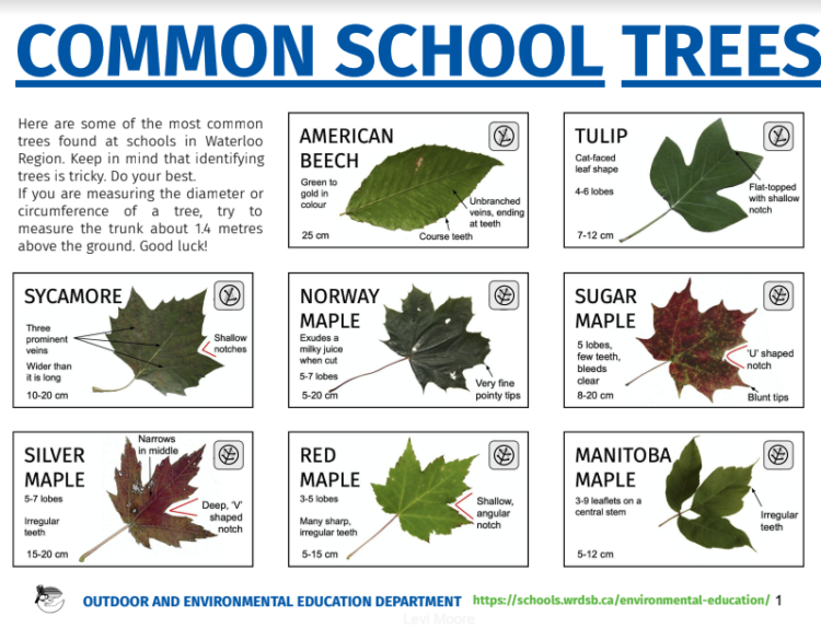 Outdoor and Environmental Education